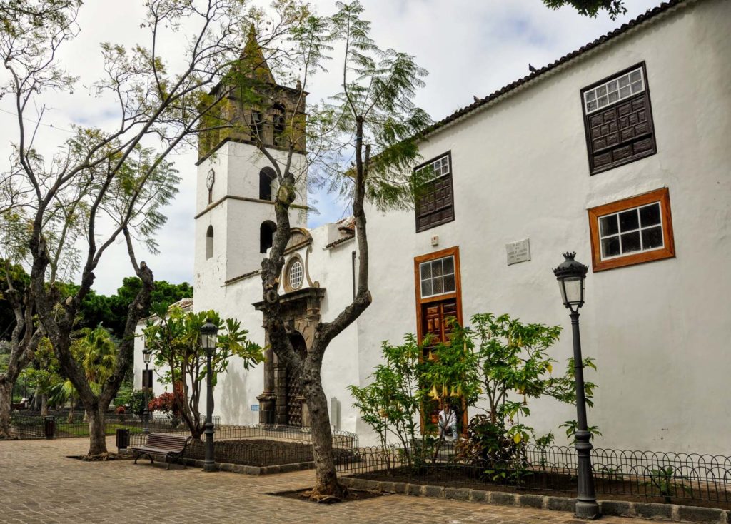 The dragon tree of Icod de los Vinos – a living symbol of Tenerife ...