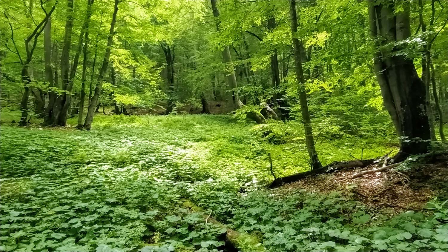 Mała Rawka i Wielka Rawka: szlak z Przełęczy Wyżniańskiej – Gancarczyk