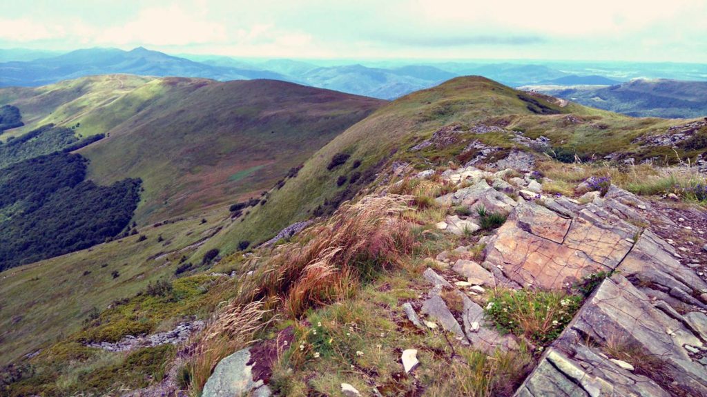 Rozsypaniec – Halicz – Tarnica: szlak z Wołosatego dla lubiących długie ...