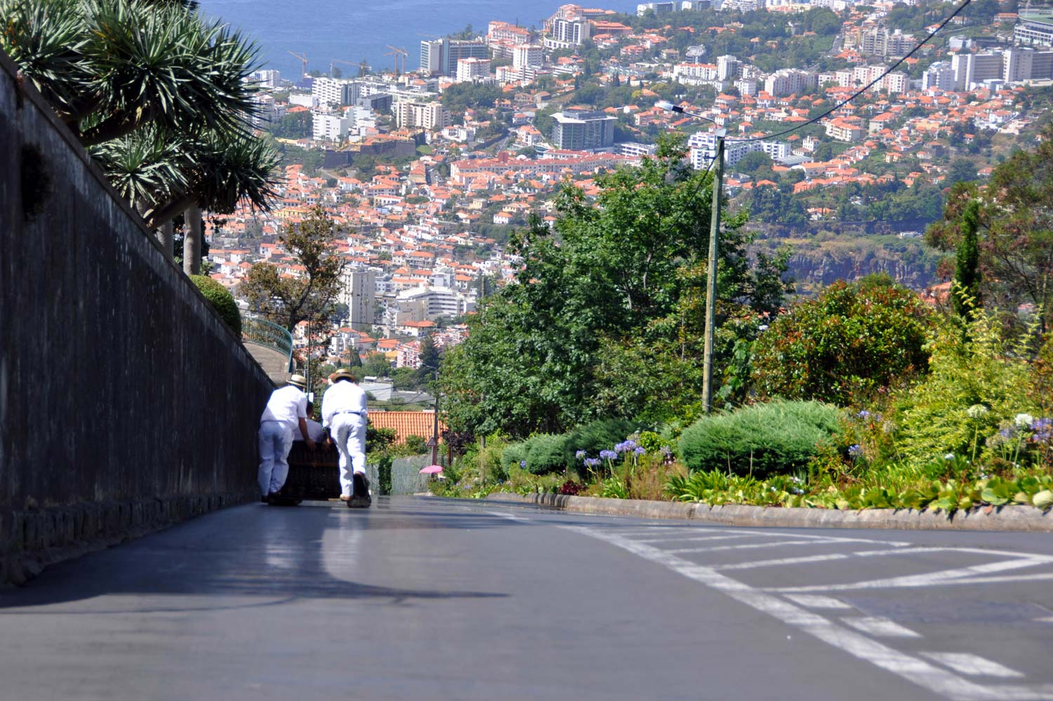 Funchal plan zwiedzania – mapa, atrakcje, zabytki, noclegi, ciekawostki ...
