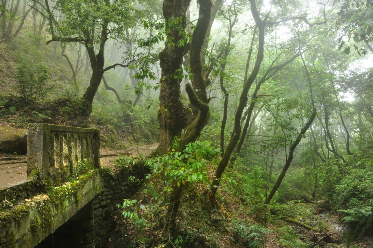 Madera atrakcje, mapa, plan zwiedzania, wycieczki, najpiękniejsze ...